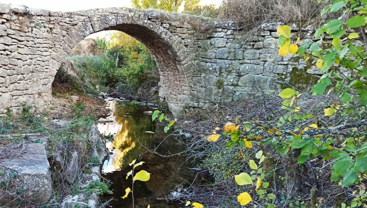 Calendario Aibar/Oibar 2021 - Ayuntamiento de Aibar-Oibarko Udala